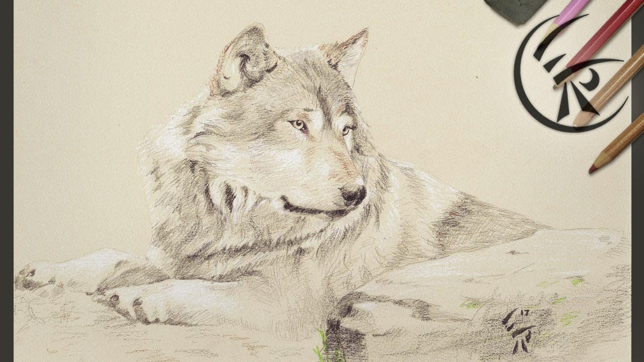 Drawing 