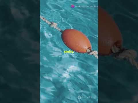 Archimedes’ Principle explained in 60sec #archimedes #shorts #science