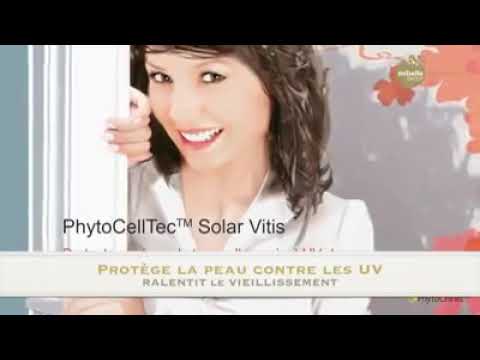 c'est quoi les Cellules Souches ? A suivre pour bien comprendre