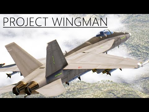 Steam Community :: Video :: Project Wingman Demo game play! graphic Oh ...