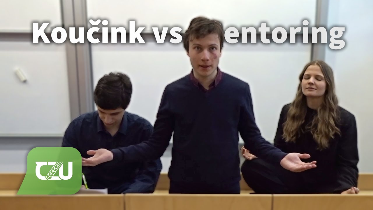 Koučink vs. Mentoring | Teorie a ukázky rozdílů