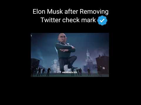 Elon Musk after owning twitter: