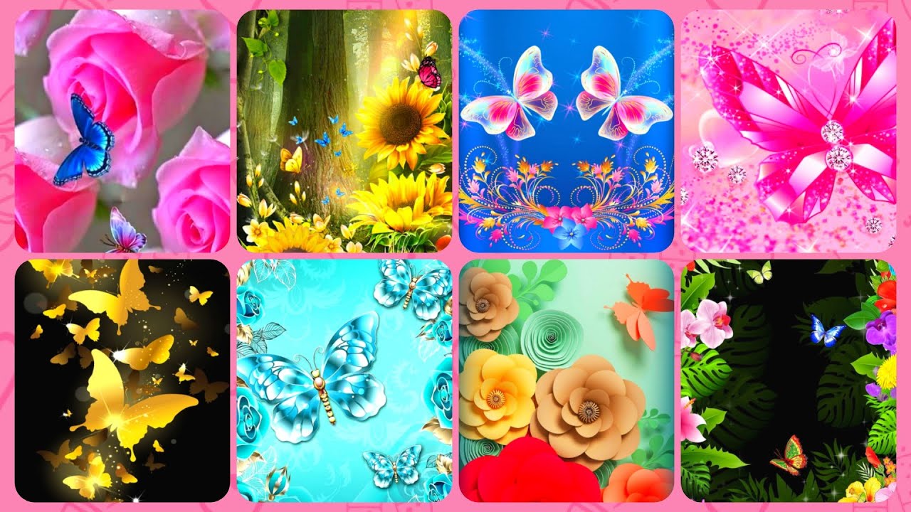 Dreamy World Of Flowers And Butterflies @Nature Beautiful Wallpapers