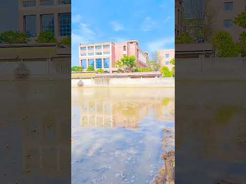 galaxy global group of institutions