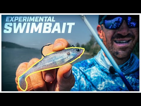 Overlooked Shad-Imitating Swimbait for Tough Bass