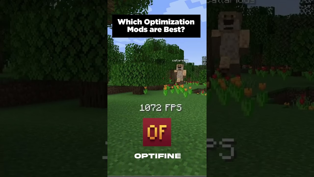 Which Optimization Mods are Best? #shorts