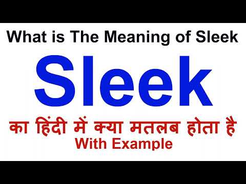 Sleek Meaning in Hindi | Sleek Definition | Sleek Ka Matlab Kya Hota Hai | Sleek in Hindi