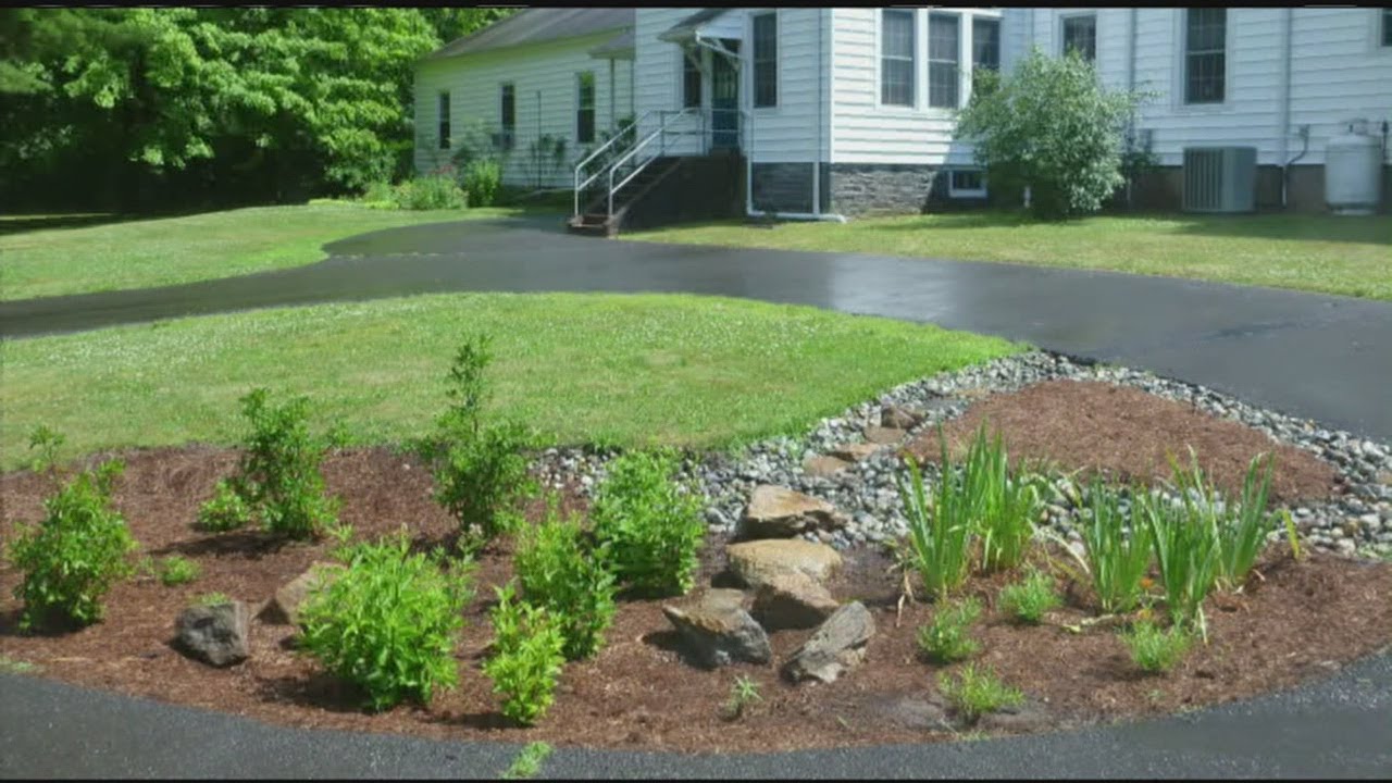 Mass Appeal Create a 'Rain Garden'