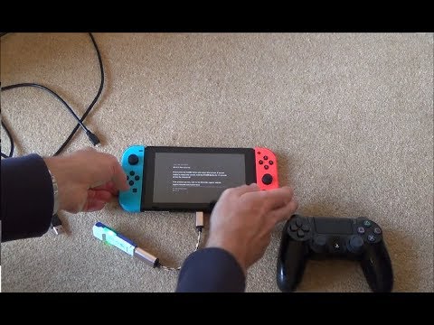 How to FIX Nintendo Switch Error Code 2011-0301 when using Brook Super Converter