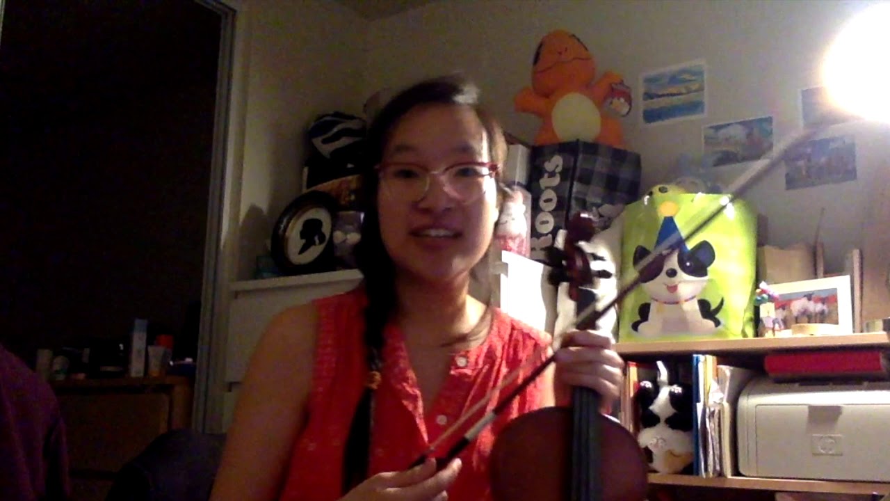 Easy Popular Movie Instrumental Violin   Performance