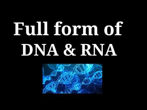 full form of DNA & RNA. - What is Dna. - What is RNA? - what is full forms.