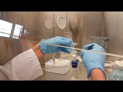 Conjugation Technique- Lifting Filter Paper