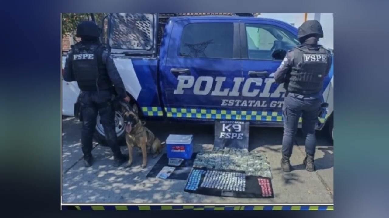 Decomisan más de cinco mil drogas en Guanajuato