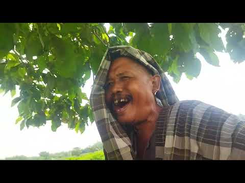 JAM KERJA ADALAH : AMANAH , ( @ Musisi Masakan )