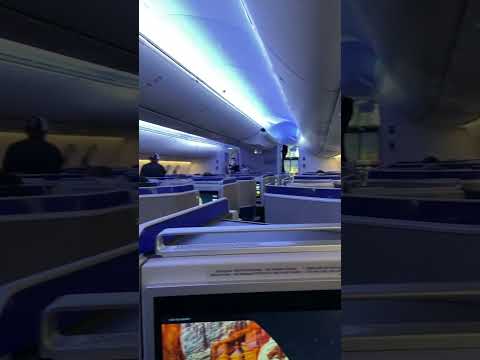 United Polaris - Chicago to Frankfurt