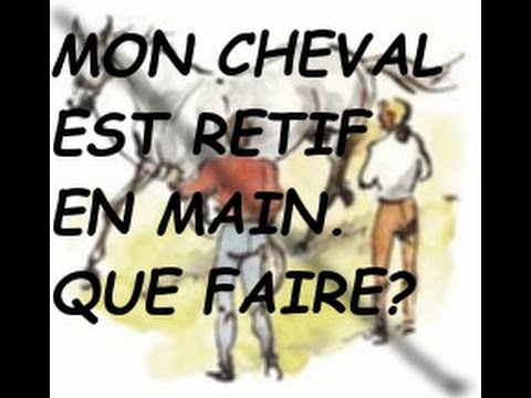 Comment faire pour bouger mon cheval quand il reste immobile ...