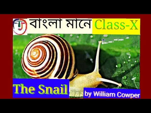 Bengali Meaning of "The Snail" Written by William Cowper||for the students of Class-X under WBBSE