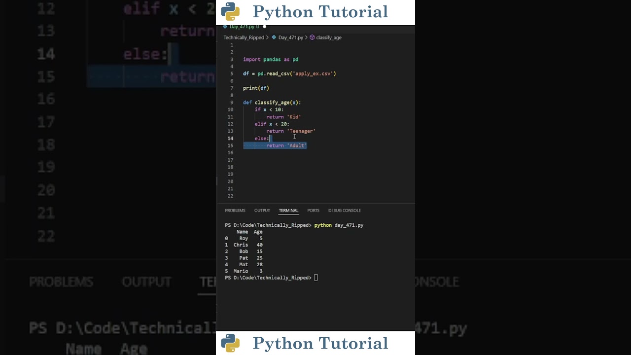 Using Apply On A Pandas Dataframe | Python Tutorial
