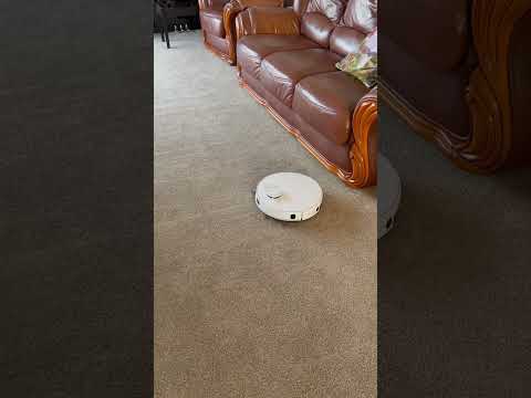 I like mum’s new Vacuum Robot, it cleans the carpet very well.
