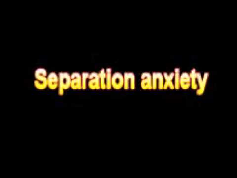 What Is The Definition Of Separation anxiety Medical School Terminology Dictionary