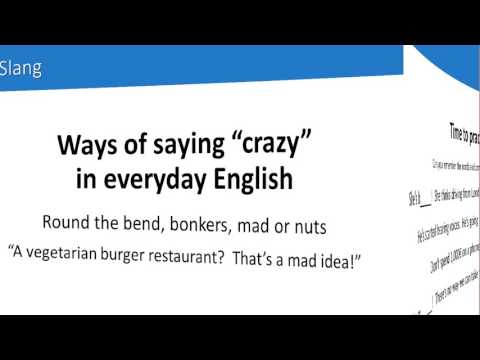 Cambridge School synonyms for 'crazy'