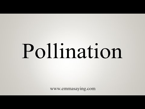 How To Say Pollination