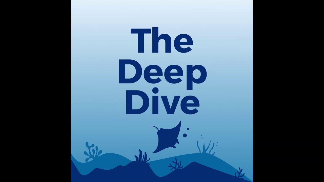 The Deep Dive Episode 2: Builders, schematics and Nx plugins
