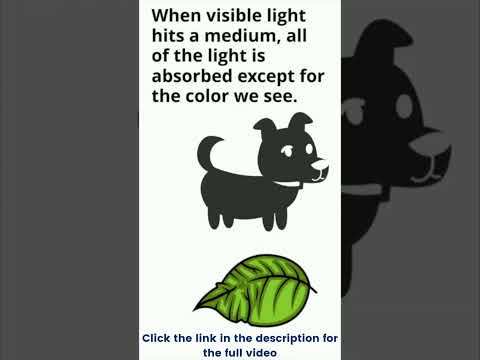 Light Wave and Sound Wave Absorption Quick Video Explanation