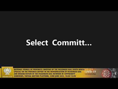 Select Committee on Transport, Public Service and Administration, Public Works and Infrastructure…
