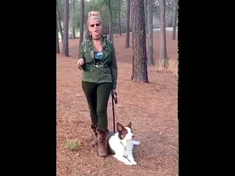 297 What family member gets a visit from a dead pet? Brent Atwater animal communication w Spirit