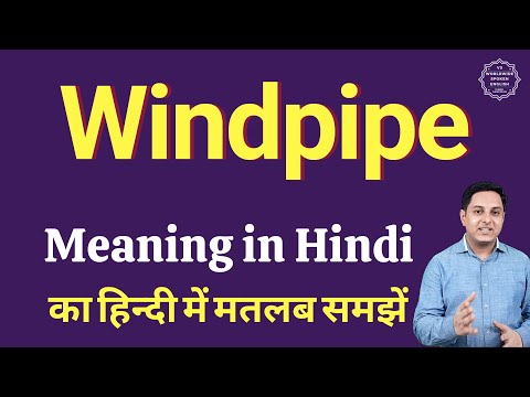 Windpipe meaning in Hindi | Windpipe ka matlab kya hota hai