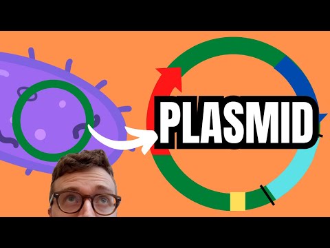 PLASMIDS EXPLAINED
