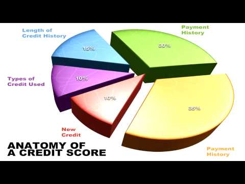 sample credit report request letters
