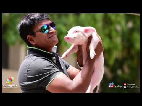 Director Ravi Babu making film on Piglet | Latest | IndiaGlitz Telugu