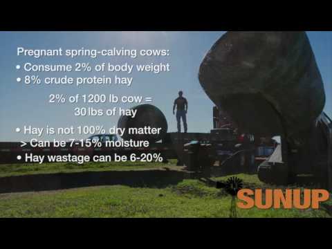 Cow-Calf Corner: Calculating How Much Hay is Needed for Winter (11/12/16)