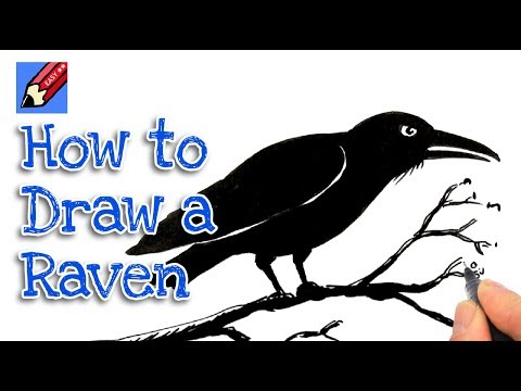 How to Draw a Raven – Shoo Rayner