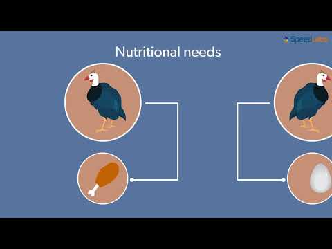 Class-9-Science-Ch-15-Improvement In Food Resources-Topic- Poultry Farming and Egg and Broiler