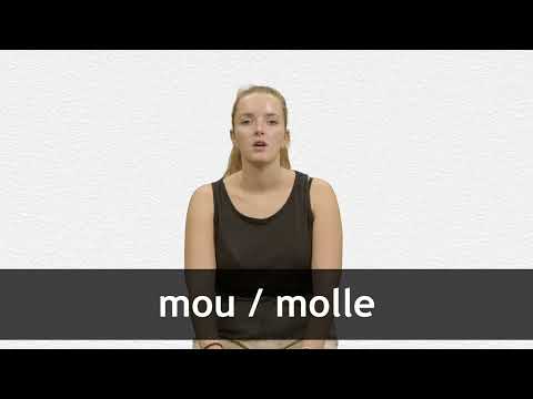 English Translation of “MOU” | Collins French-English Dictionary