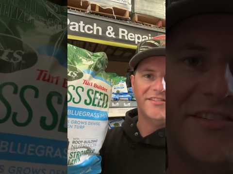 BE CAREFUL When Buying Grass Seed