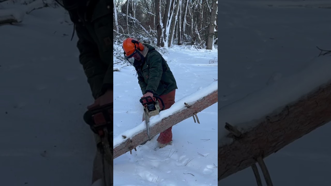 Chainsaw basics for a beginner