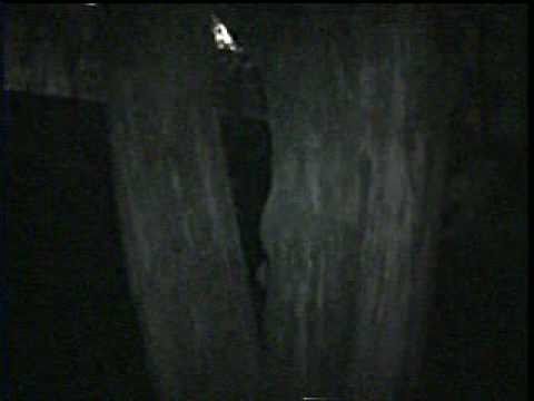 ALIEN DE VACACIONES EN BRASIL | antiheroeamericano