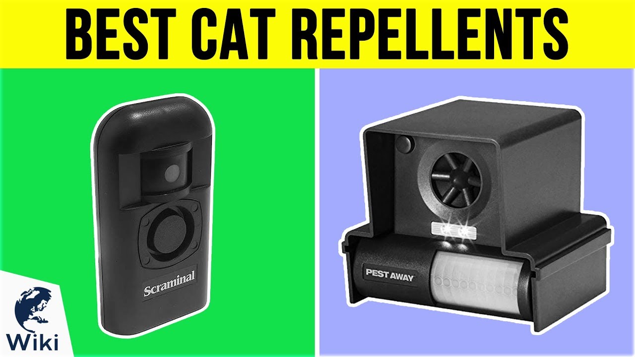 10 Best Cat Repellents 2019