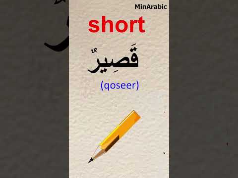 Learn Arabic - ALL Arabic Basics Every Beginners Need #shorts