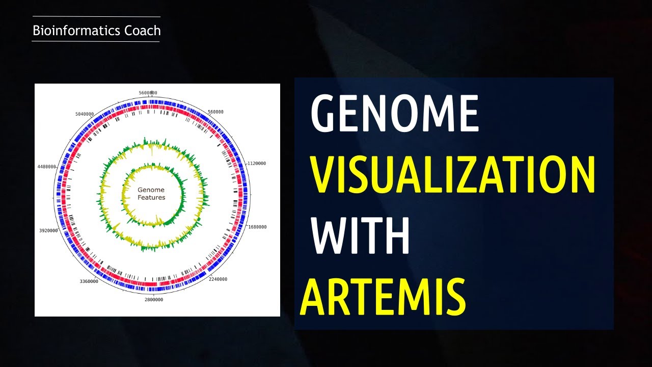 Artemis Tutorial | Genome Visualization using |  Bioinformatics - Beginner Level