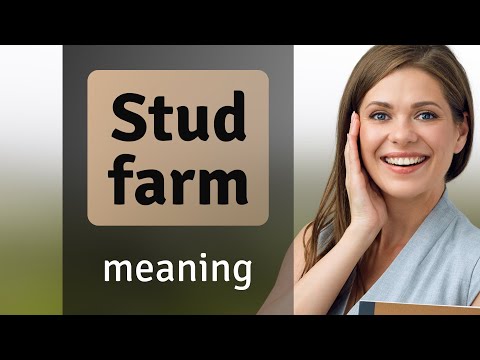 Stud farm • what is STUD FARM definition