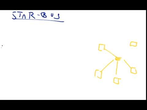 Star topology Networking; 15; Computer Networking tutorial for ...
