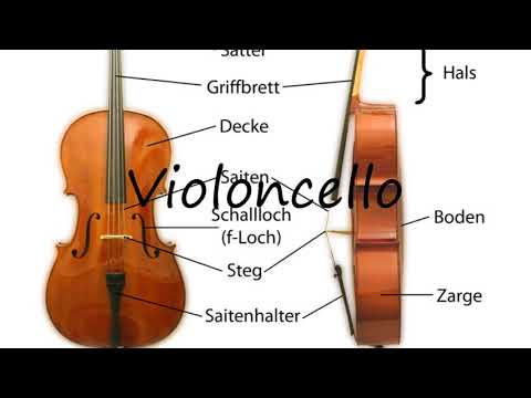 How to Pronounce Violoncello?