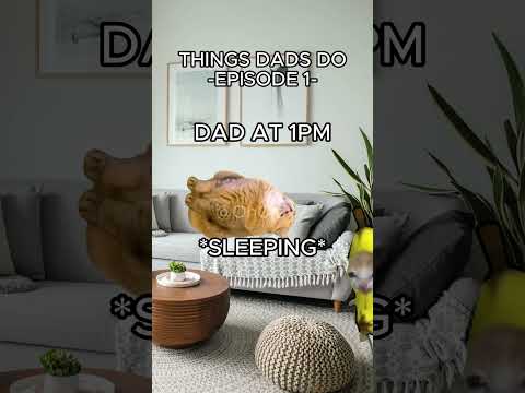 CAT MEMES: THINGS DAD DO PT.1 #relatable #cat #catmemes #catvideos #catlover