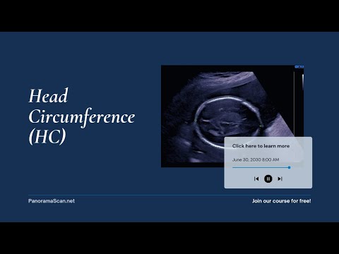 Head Circumference (HC)
