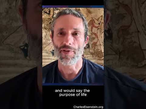 The Purpose of Life